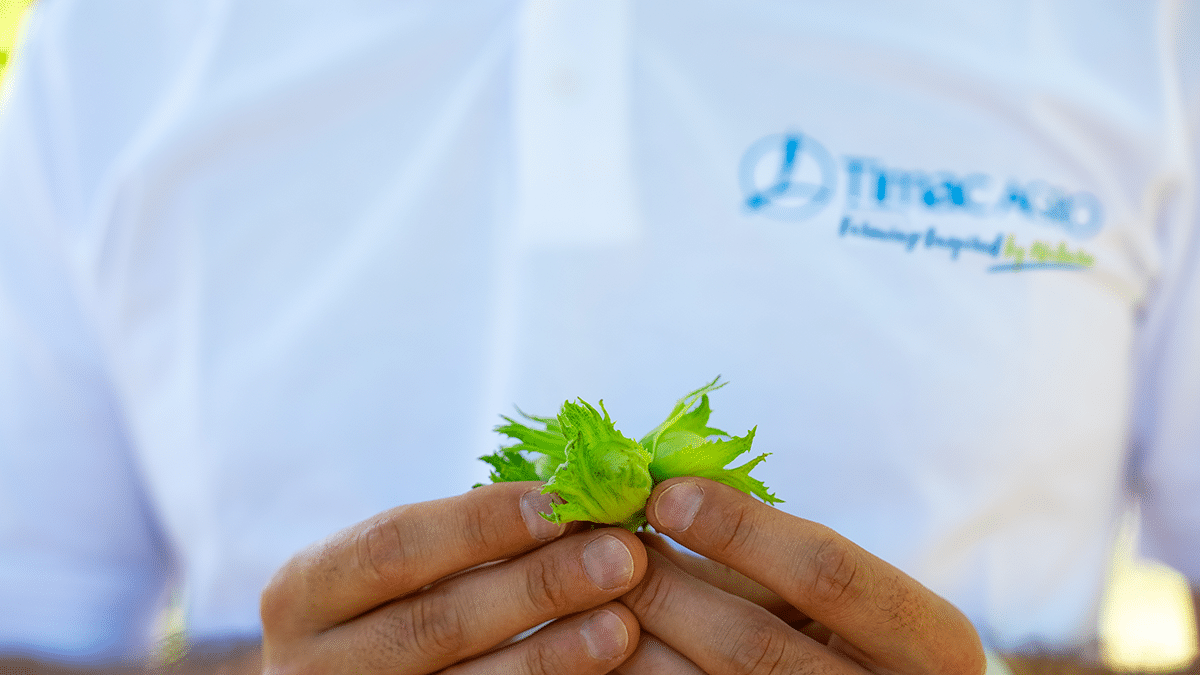 PROGEN DETOX - TIMAC AGRO Argentina